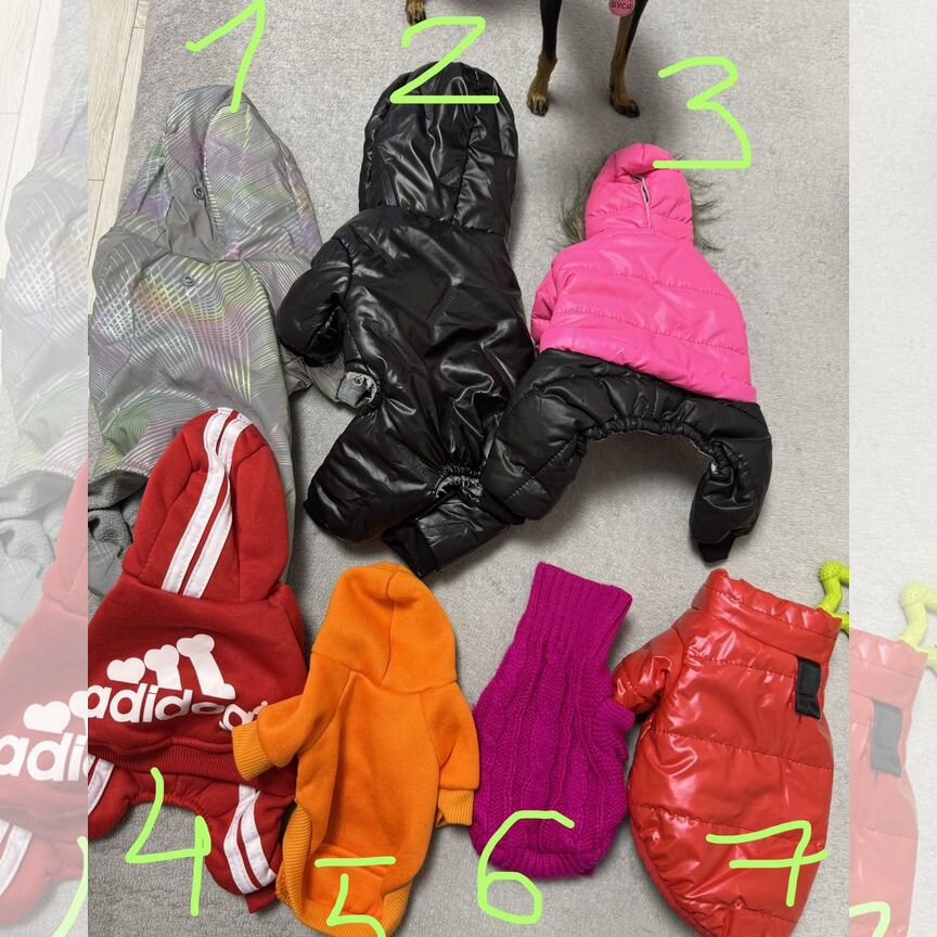 Одежда для собак маленьких пород