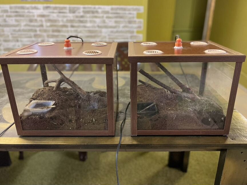 Террариумы