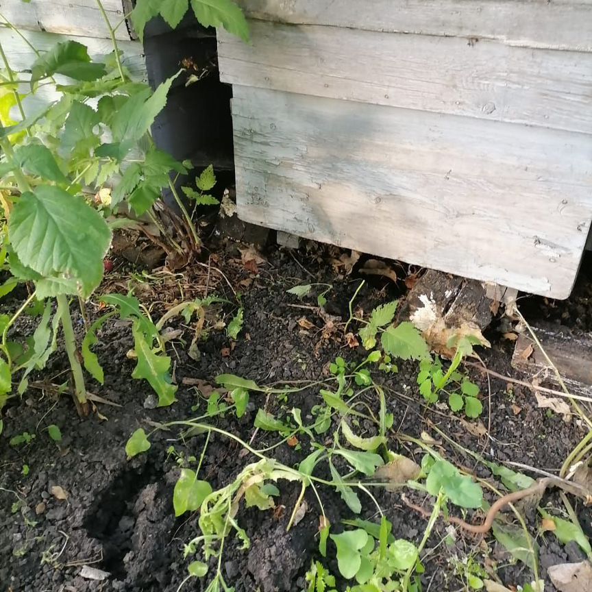 Ульи для пчел 16 рамочный