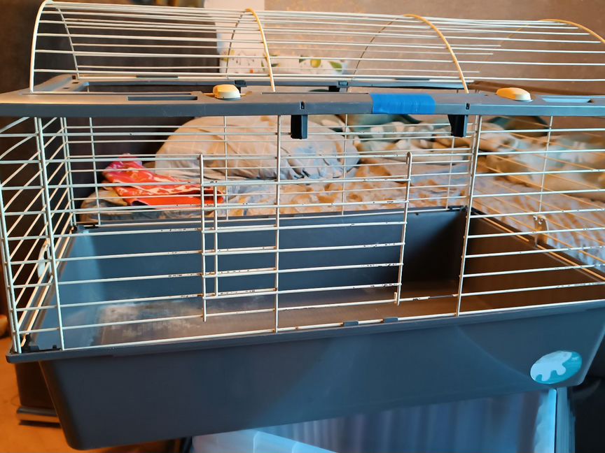 Клетка для декоративного кролика