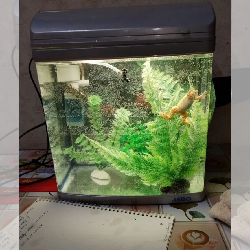 Продам аквариум