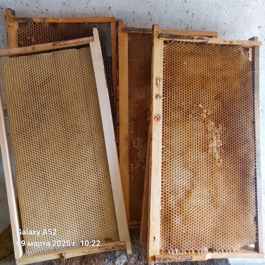 Рамка сушь для пчел