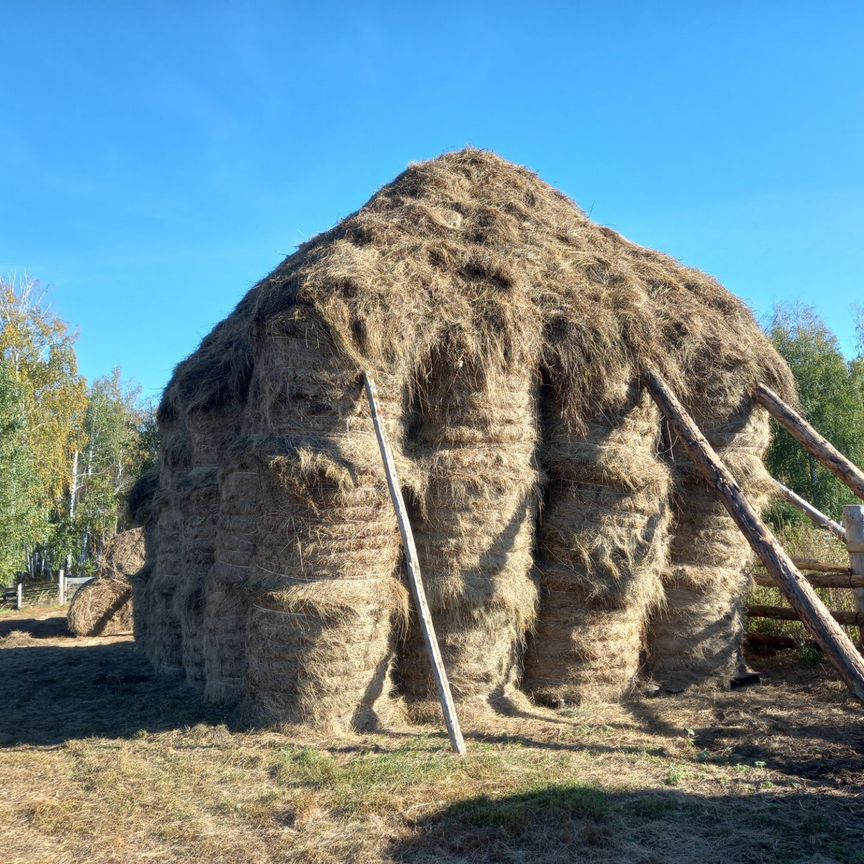 Сено в рулонах