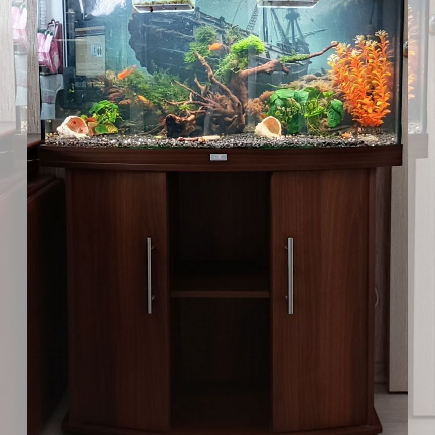 Аквариум Juwel Vision 180 с тумбой и обитателями