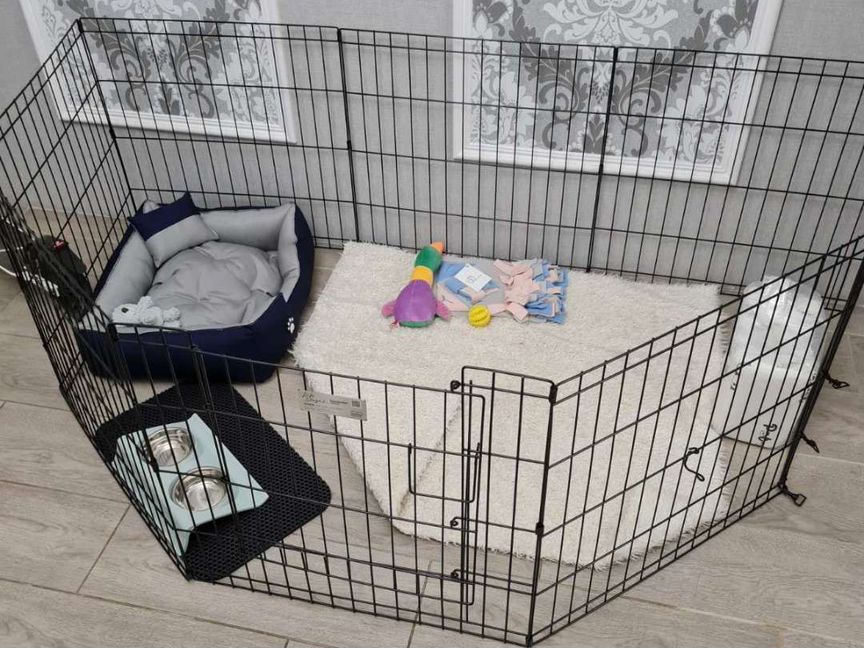 Вольер для собак