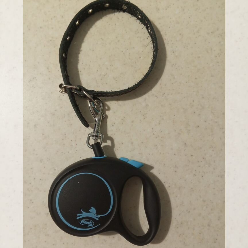 Ошейник с поводком