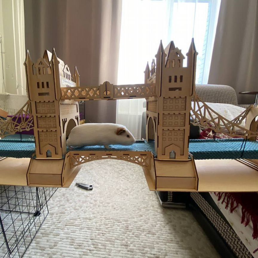 Декоративный мост для морской свинки