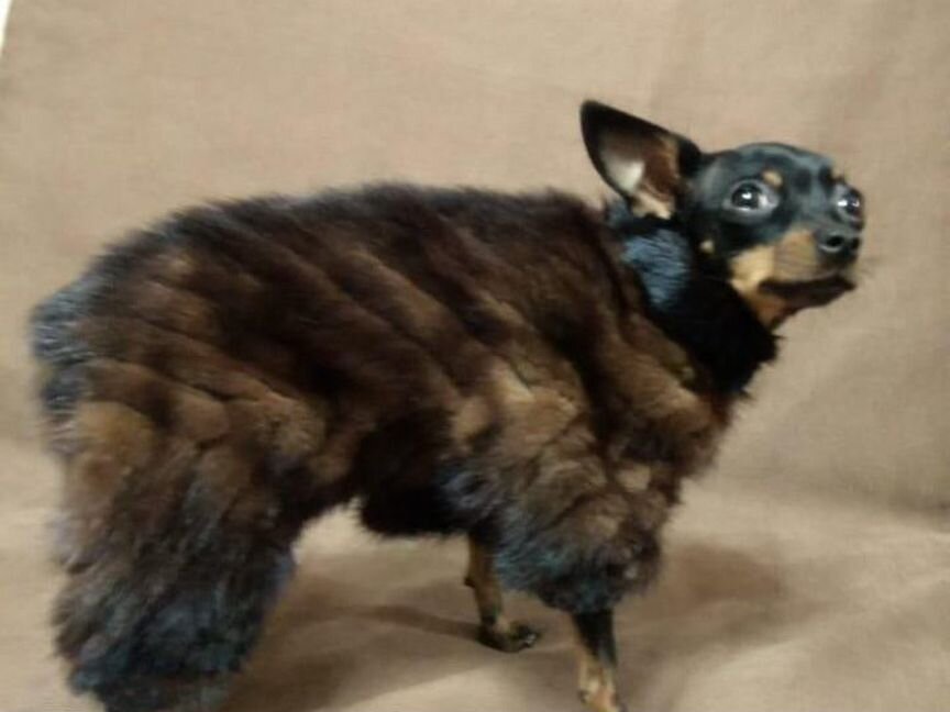 Шубка из натуральной норки