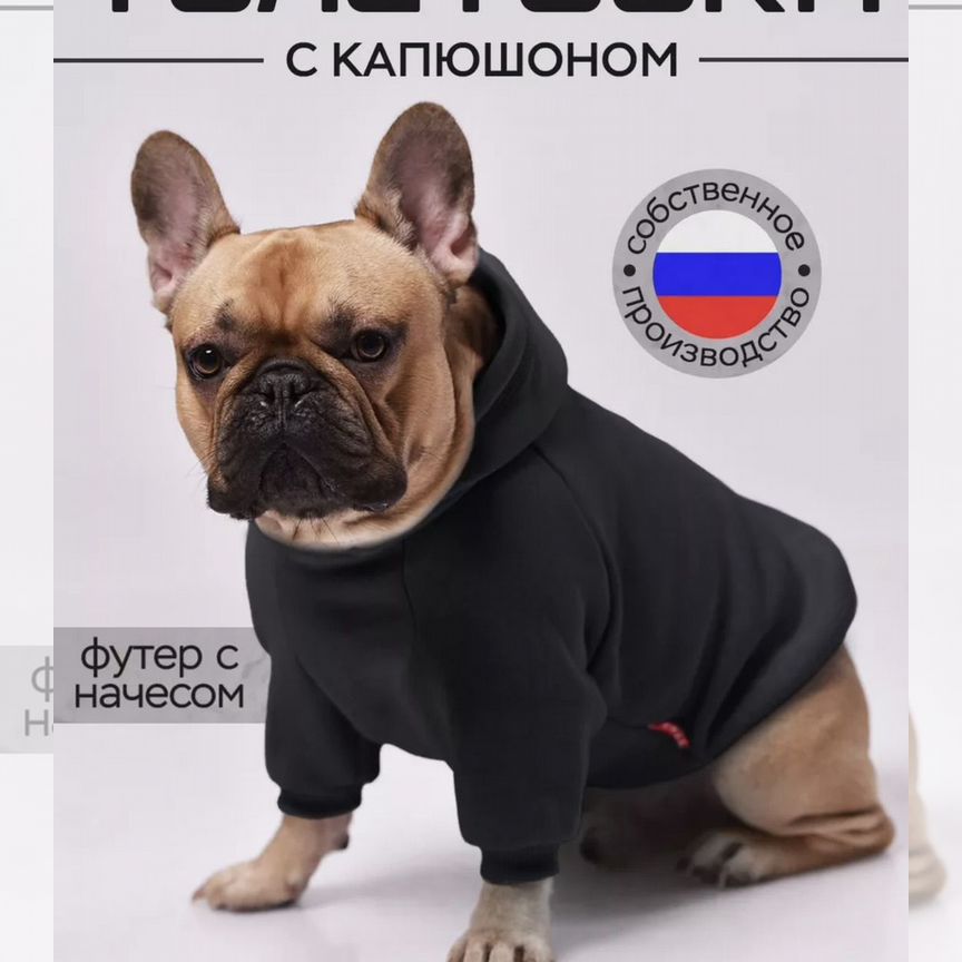Толстовка для собак средних пород