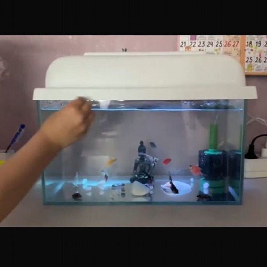 Аквариум с рыбками