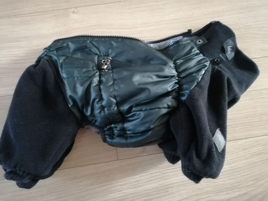 Комбинезон для цвергпинчера