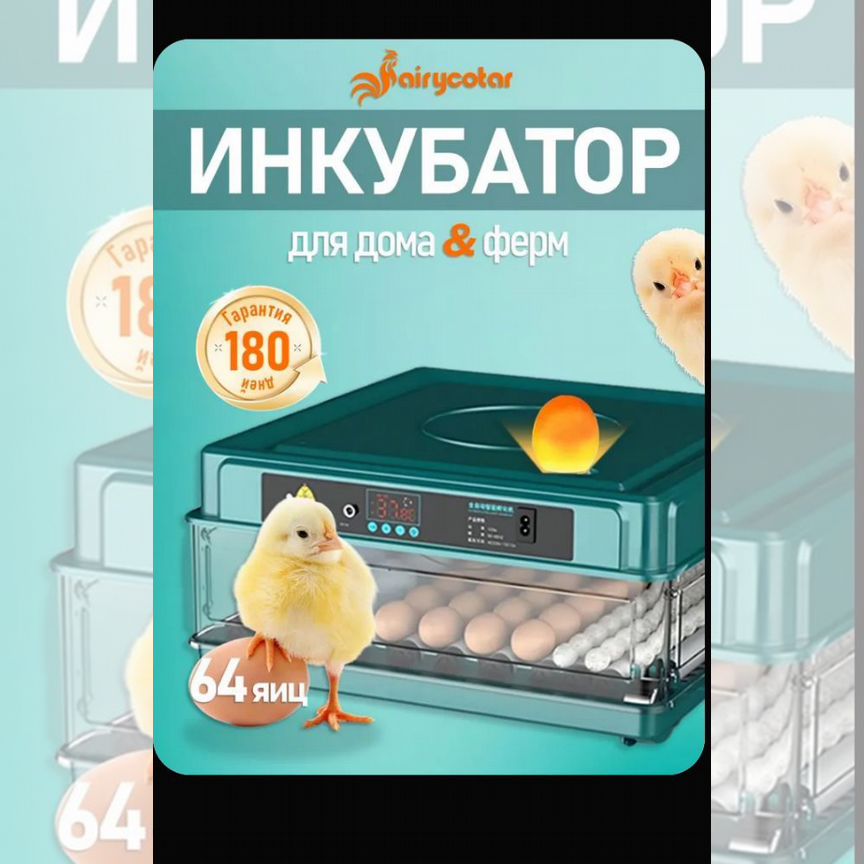 Инкубацыоные