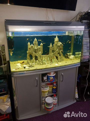 Аквариум Jebo R3100 200л с тумбой купить в Москве | Животные и ...