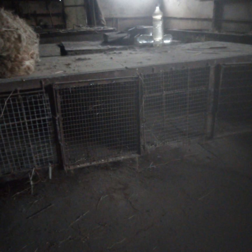 Клетки железные, содержали нутрий, кроликов