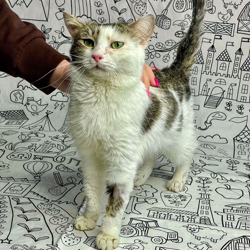 Знакомьтесь, это Милаша