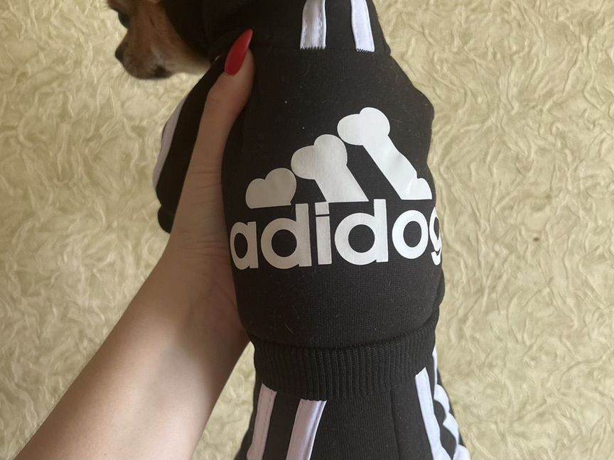 Комбинезон для маленькой собаки