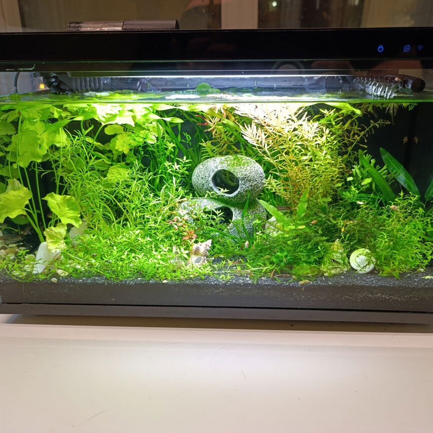 Умный аквариум xiaomi 20 литров