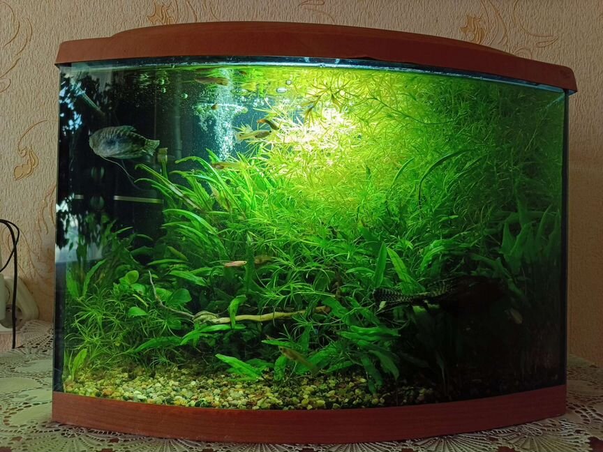 Украшение для аквариума