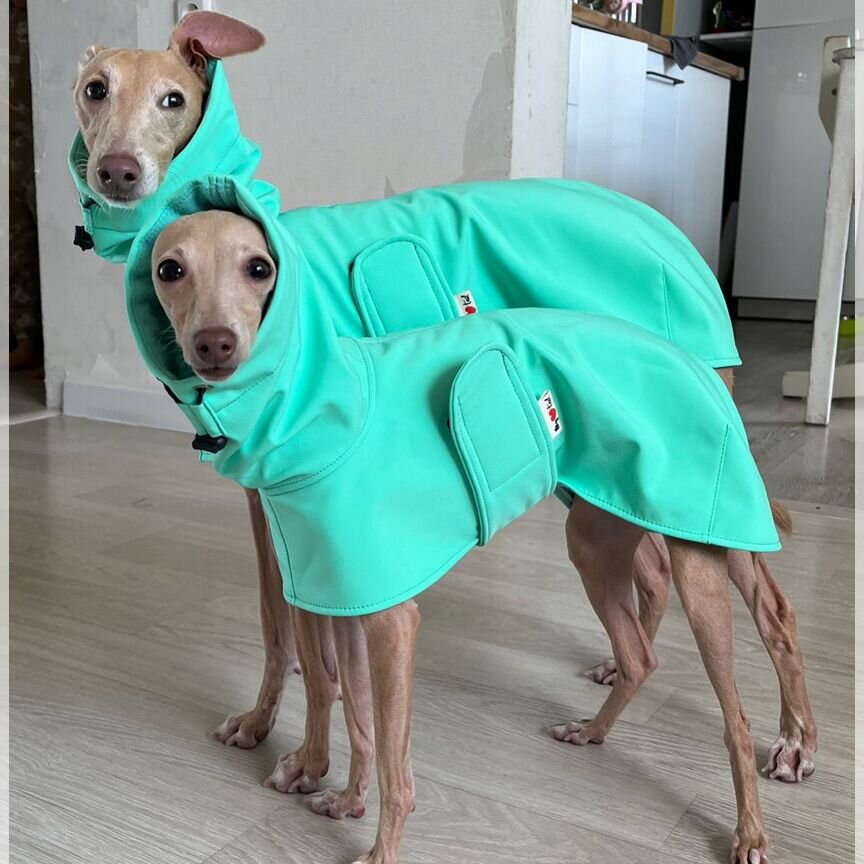 Комбинезон попона для левретки