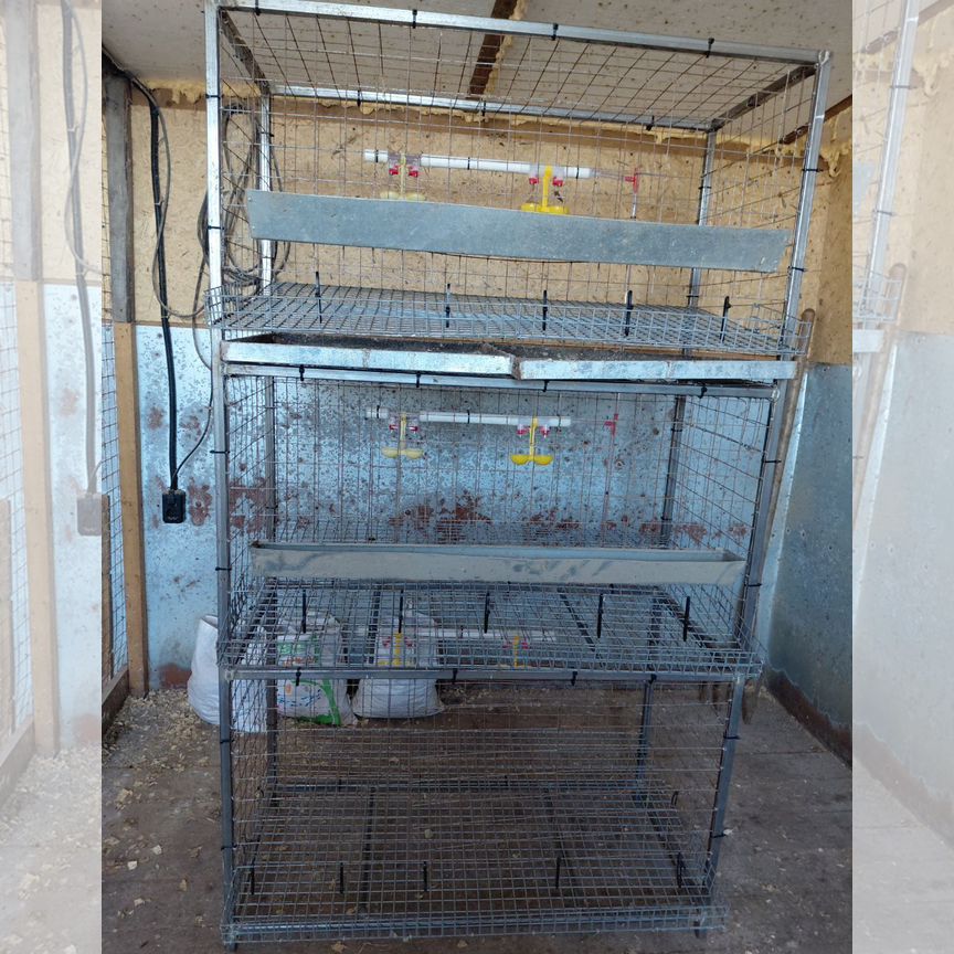 Клетка для кур несушек