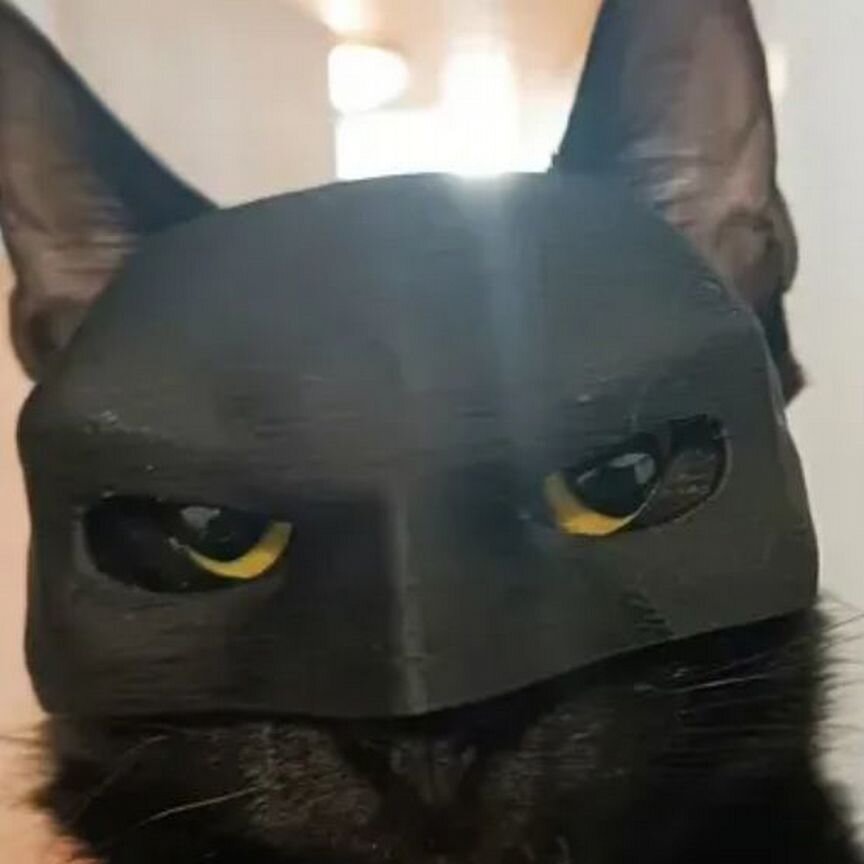 Маска для кота квадробера )