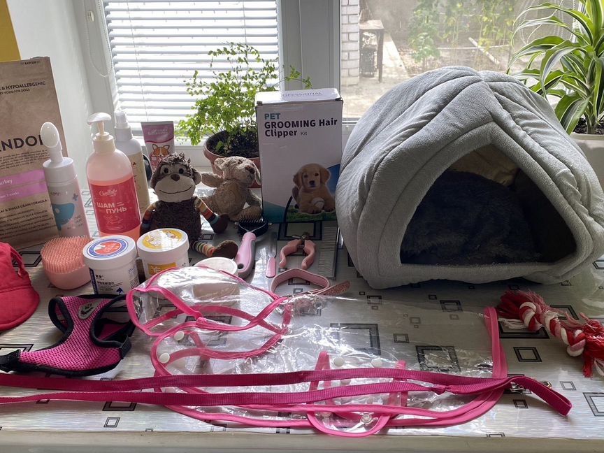 Набор для собак