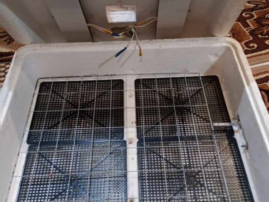 Инкубатор Несушка бу