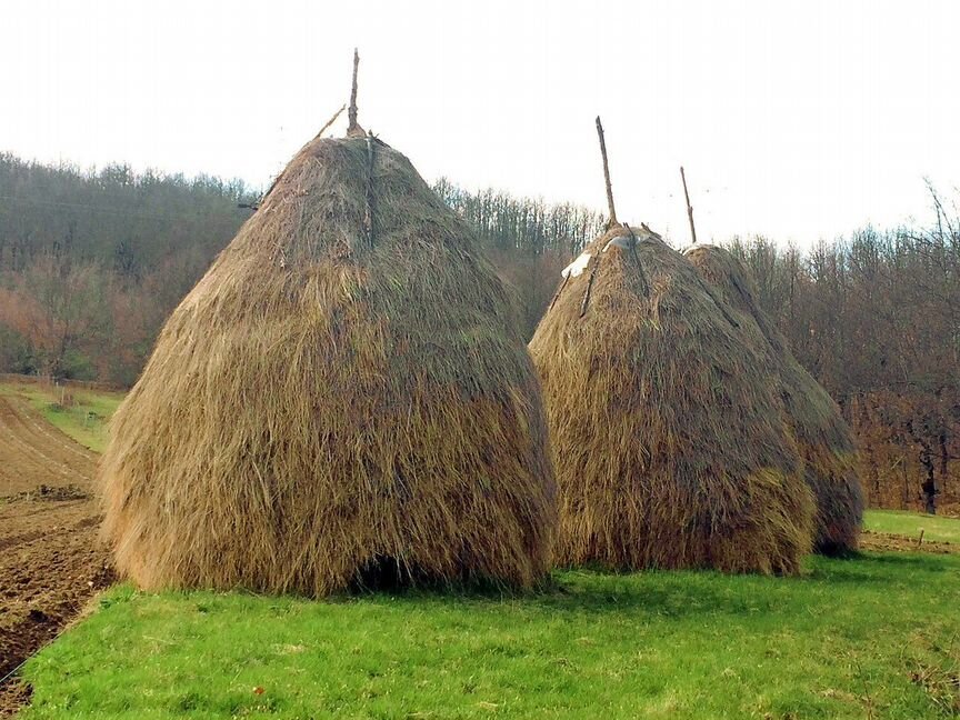 Стог сена