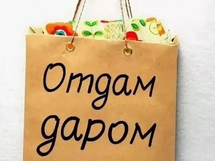 Бесплатно, фрукты, овощи на корм животным