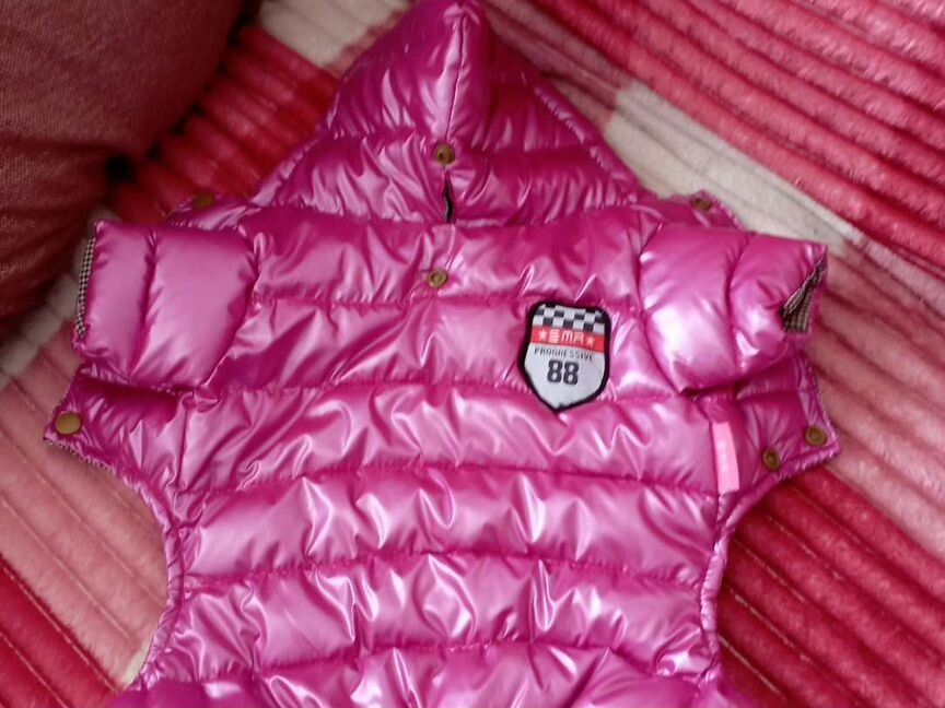 Одежда для маленьких собак бу