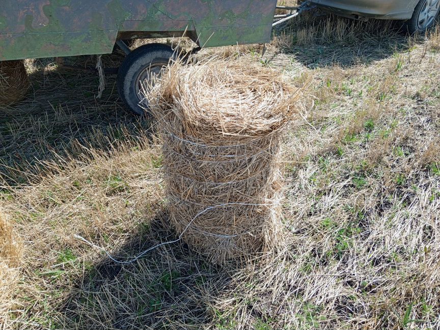 Солома в рулонах