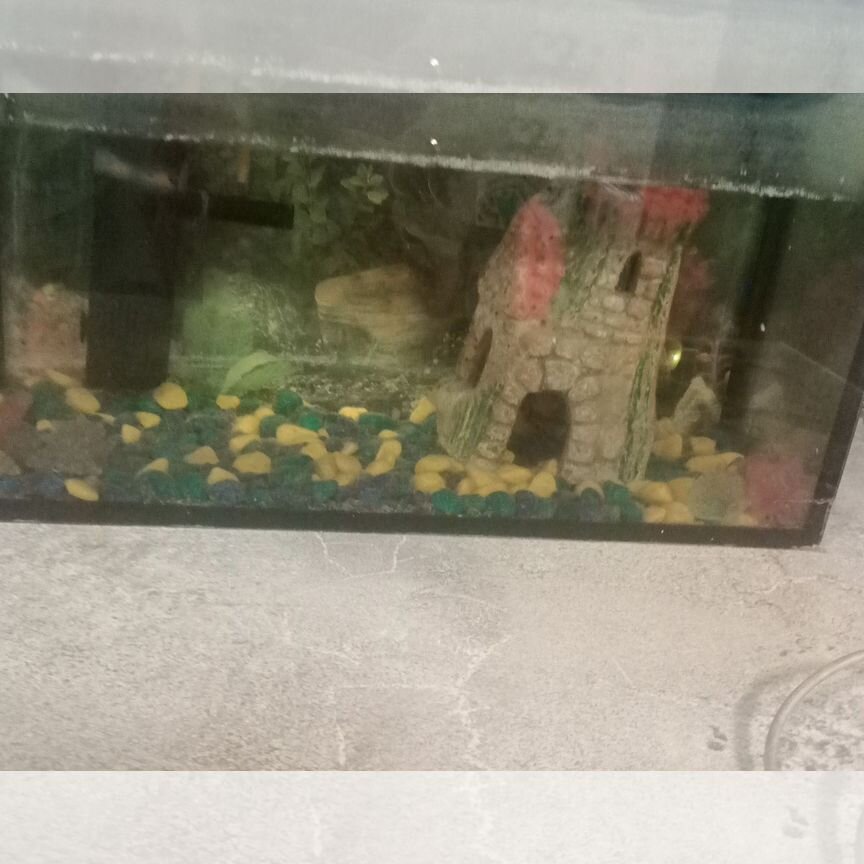 Украшение для аквариума