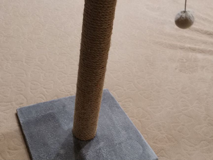 Набор для кошки (4 предмета)