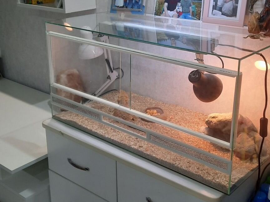 Террариум для рептилий