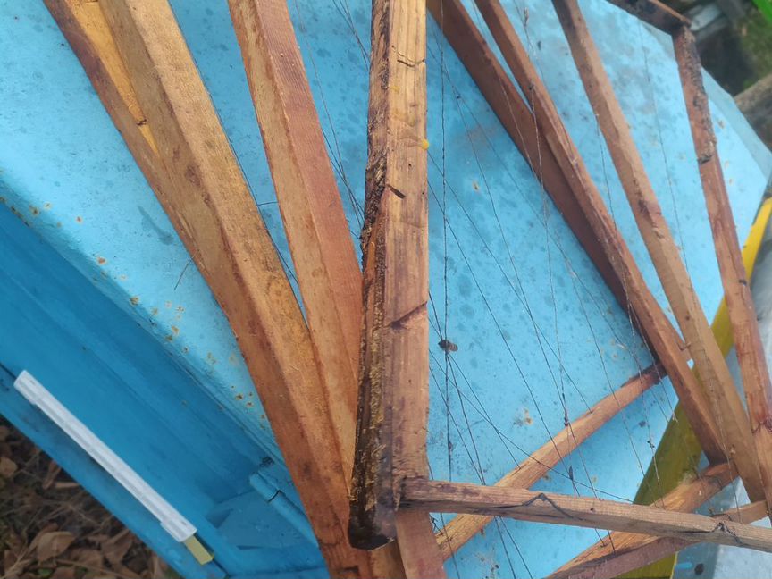 Рамки ульевые