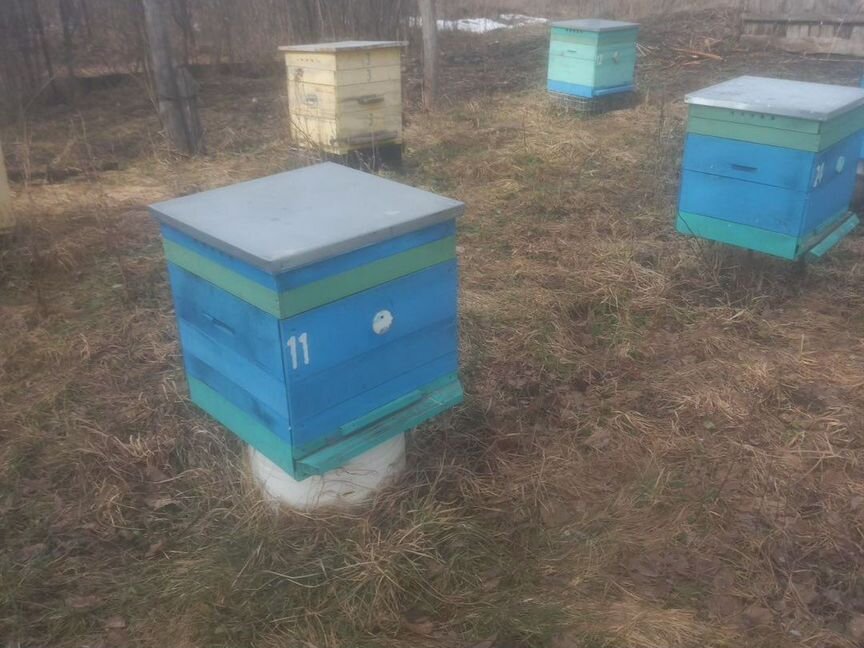 Ульи для пчел