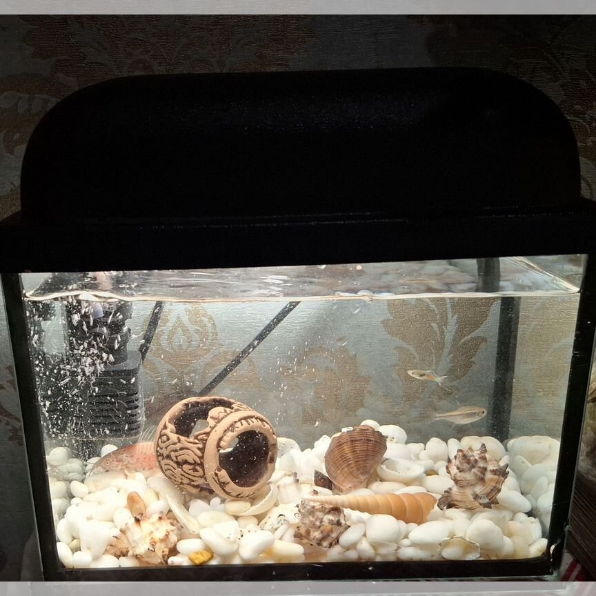 Аквариум с фильтром и рыбками