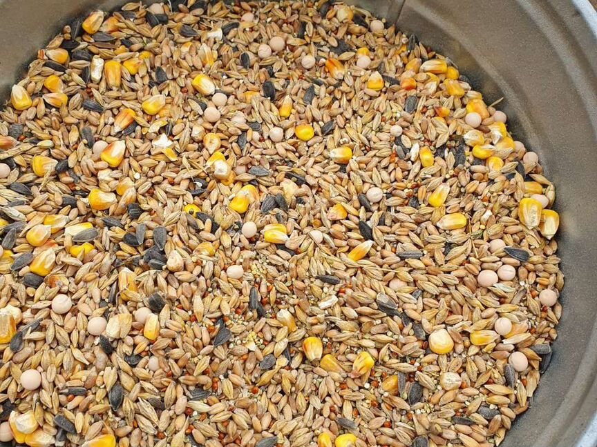 Зерновая смесь