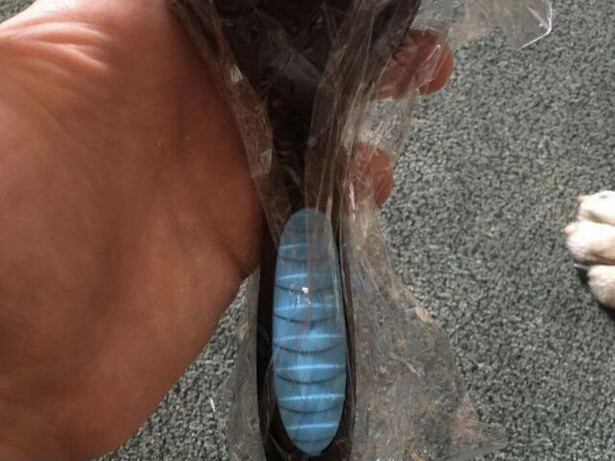 Щетка для собак