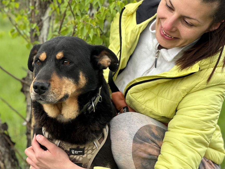 Ласковый пес из приюта, которого не замечают