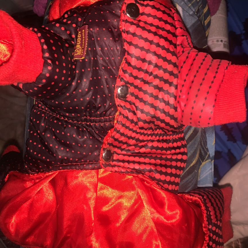 Костюмчик для собачки