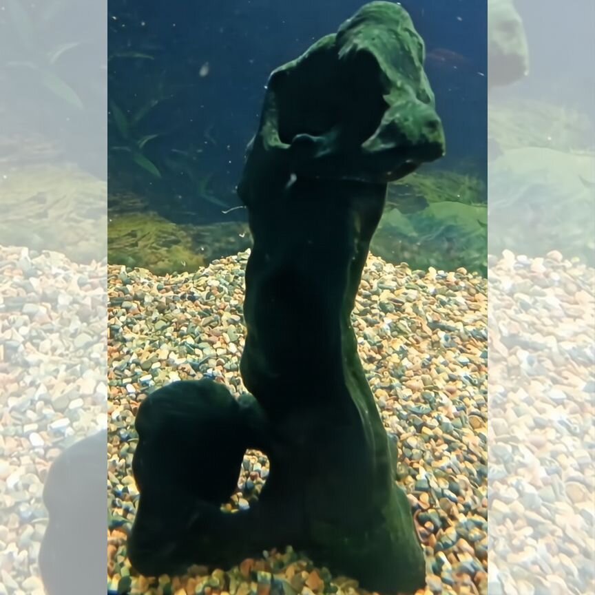 Коряги для аквариума