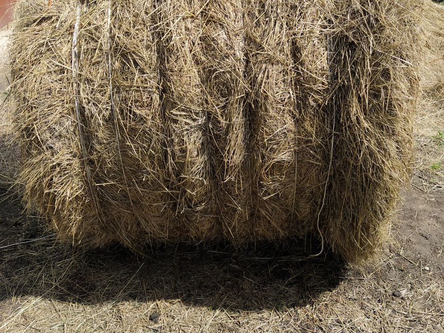 Сено в тюках разнотравье