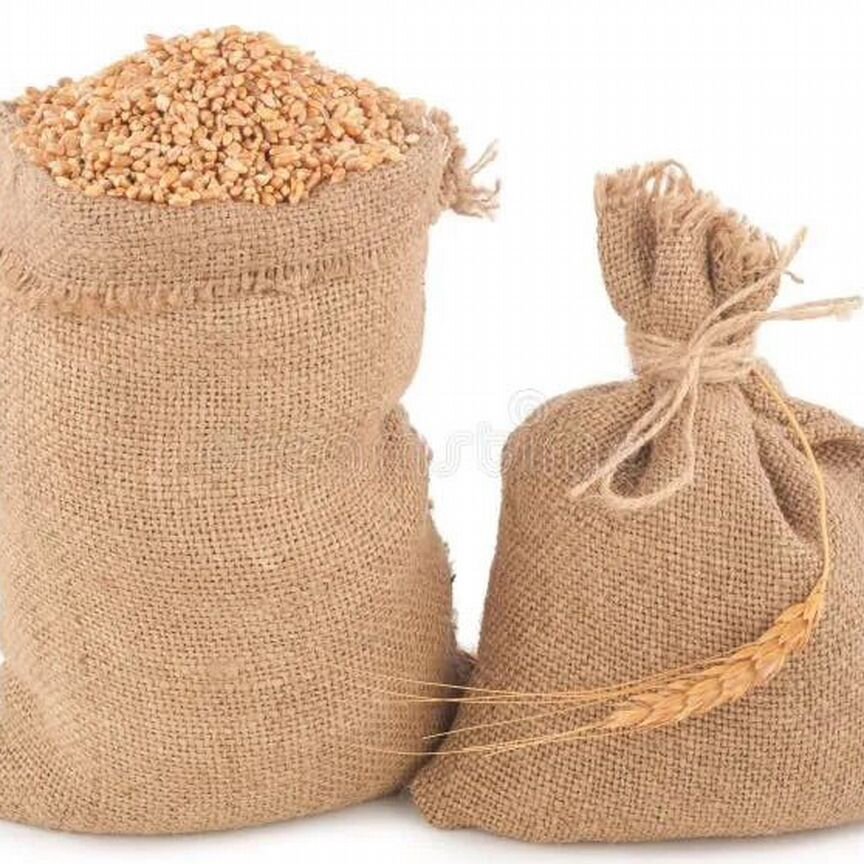 Пшеница и дробленка