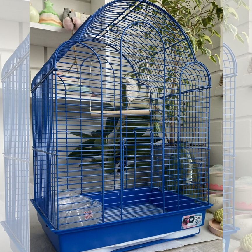 Клетка для птиц