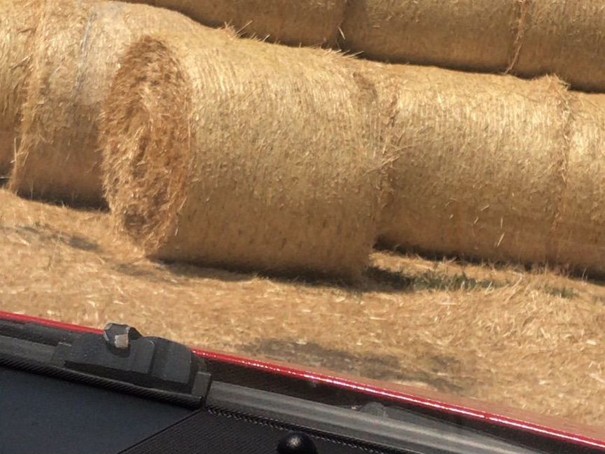 Продам солому в рулонах