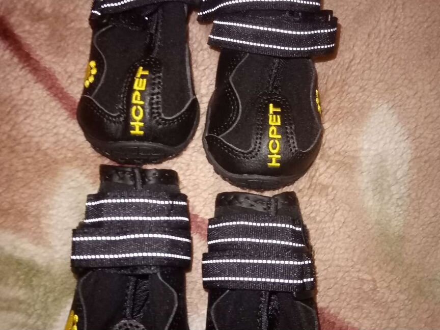 Обувь для собак