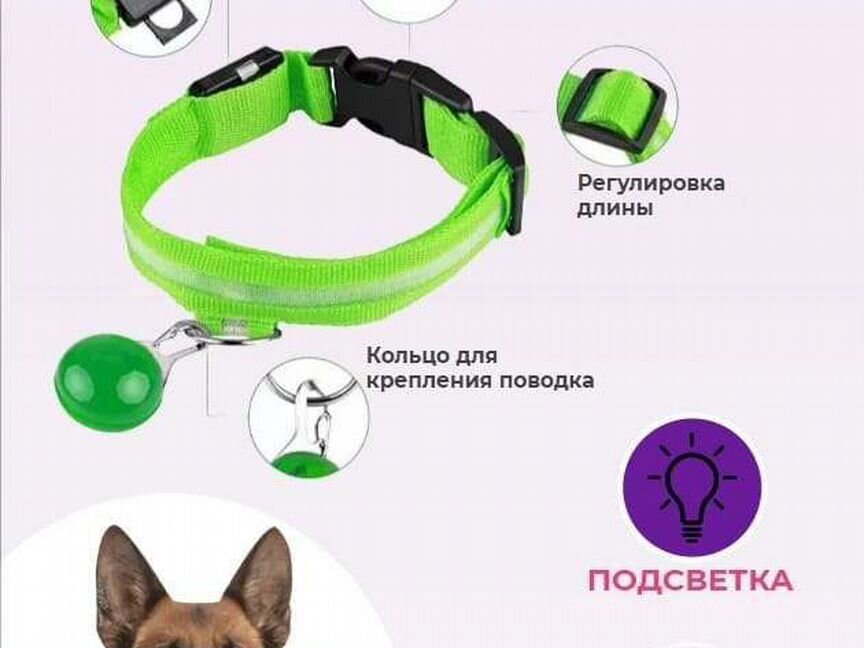 Ошейник для собак с подсветкой