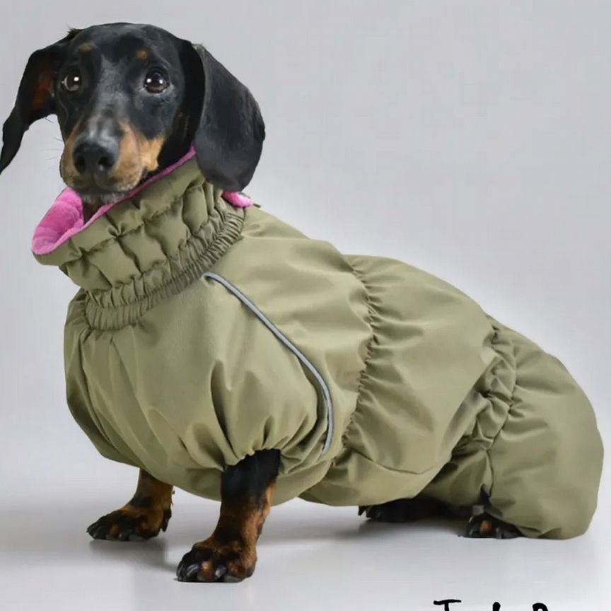 Комбинезон для таксы