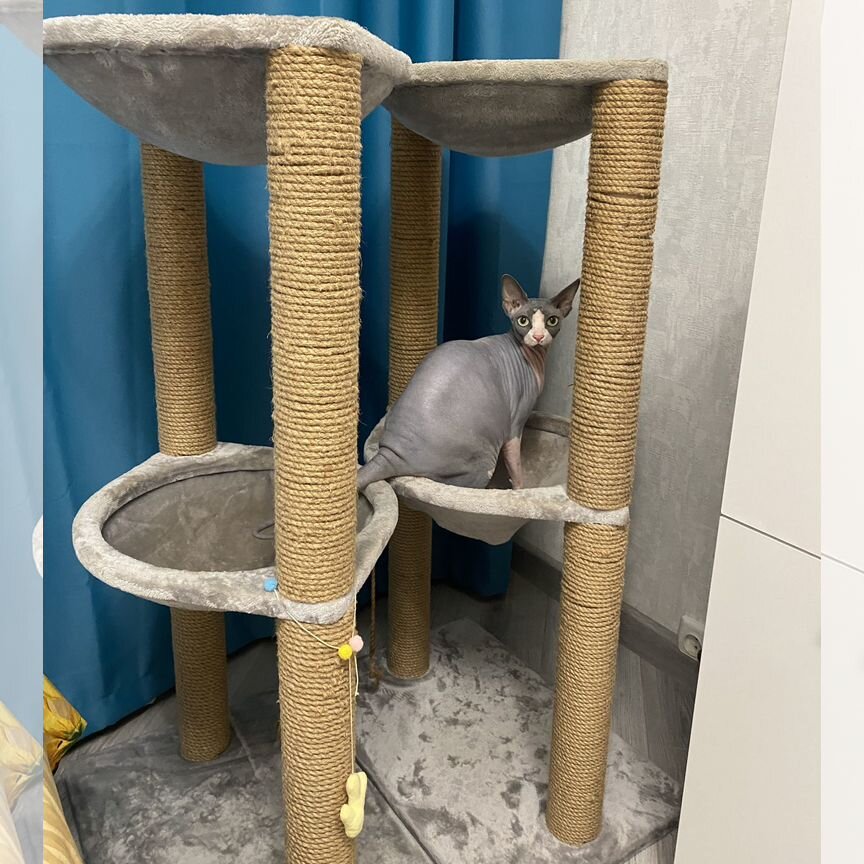 Когтеточка для кошек бу